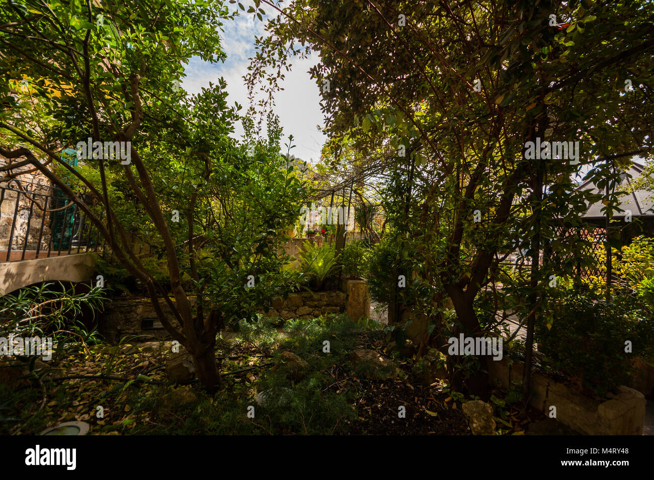Castle of the Lizard, Apricale, Imperia, Liguria, Italy Stock Photo - Alamy