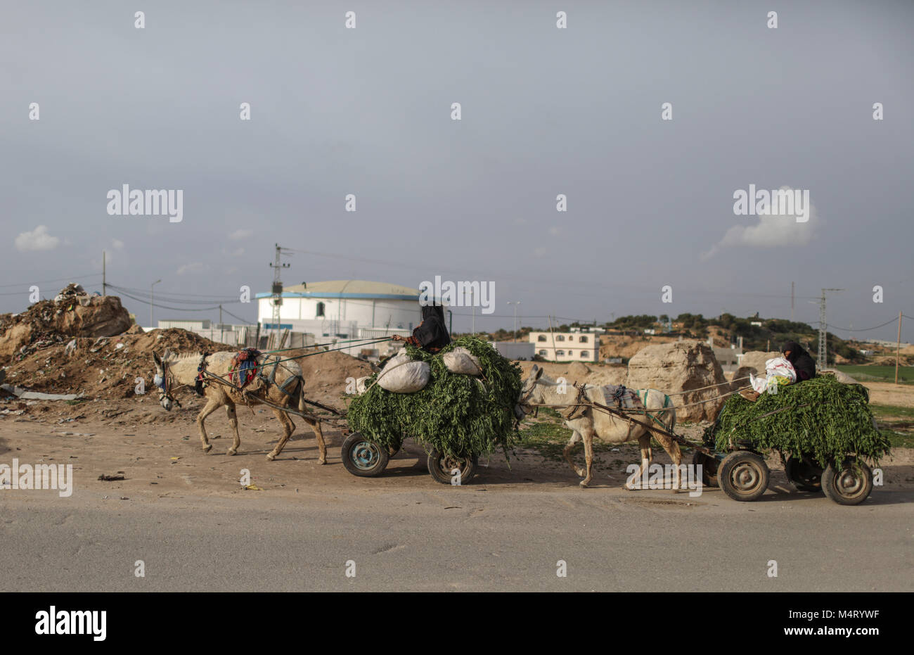 At jabaliya refugee camp hi-res stock photography and images - Alamy