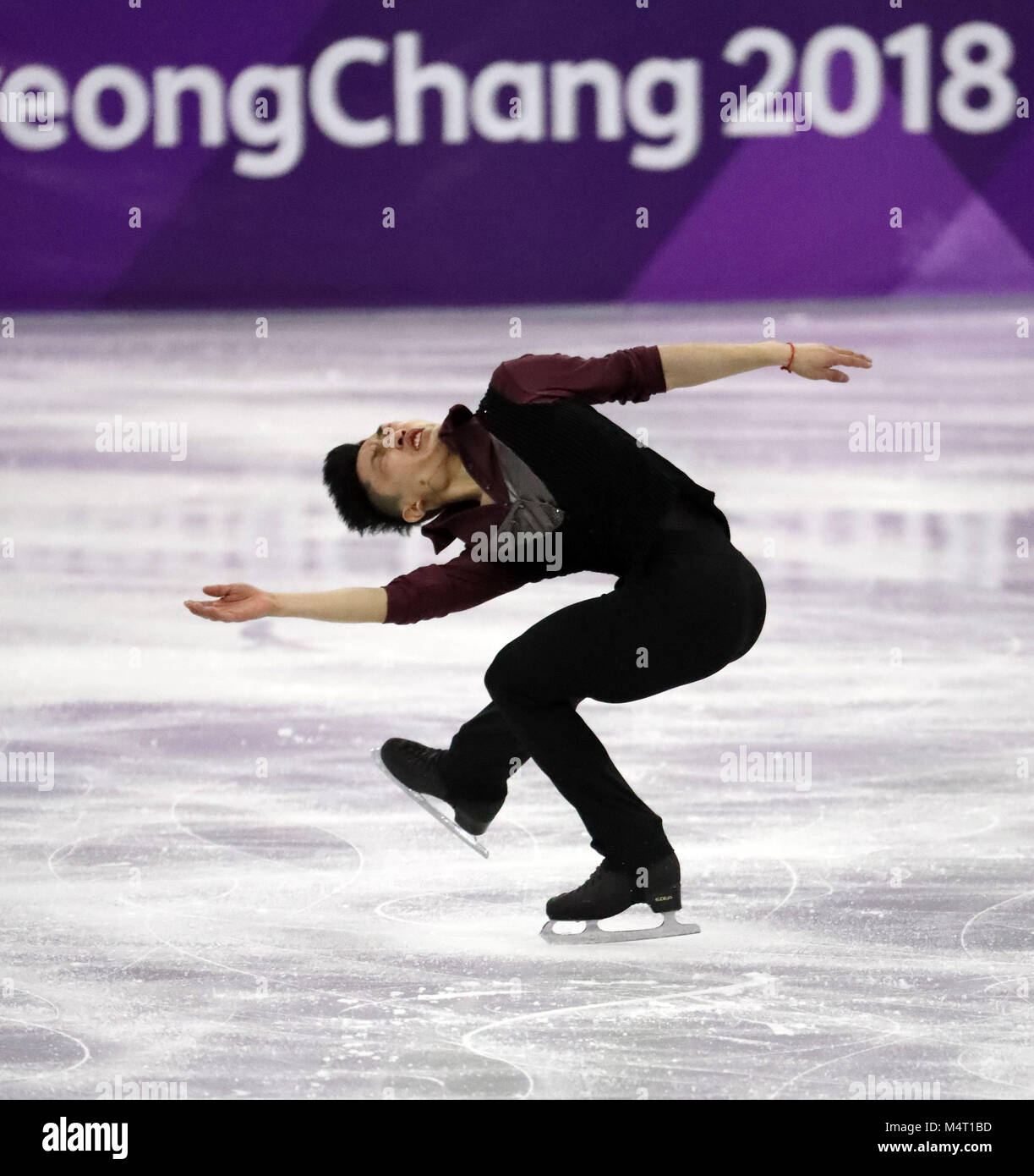 Gangneung, South Korea. 17th Feb, 2018. YAN HAN of China during Figure ...