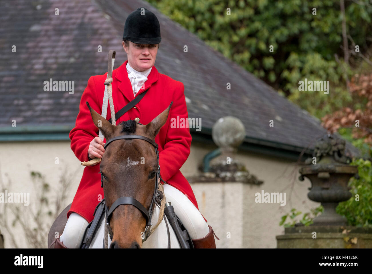 Lauderdale foxhounds hi-res stock photography and images - Alamy