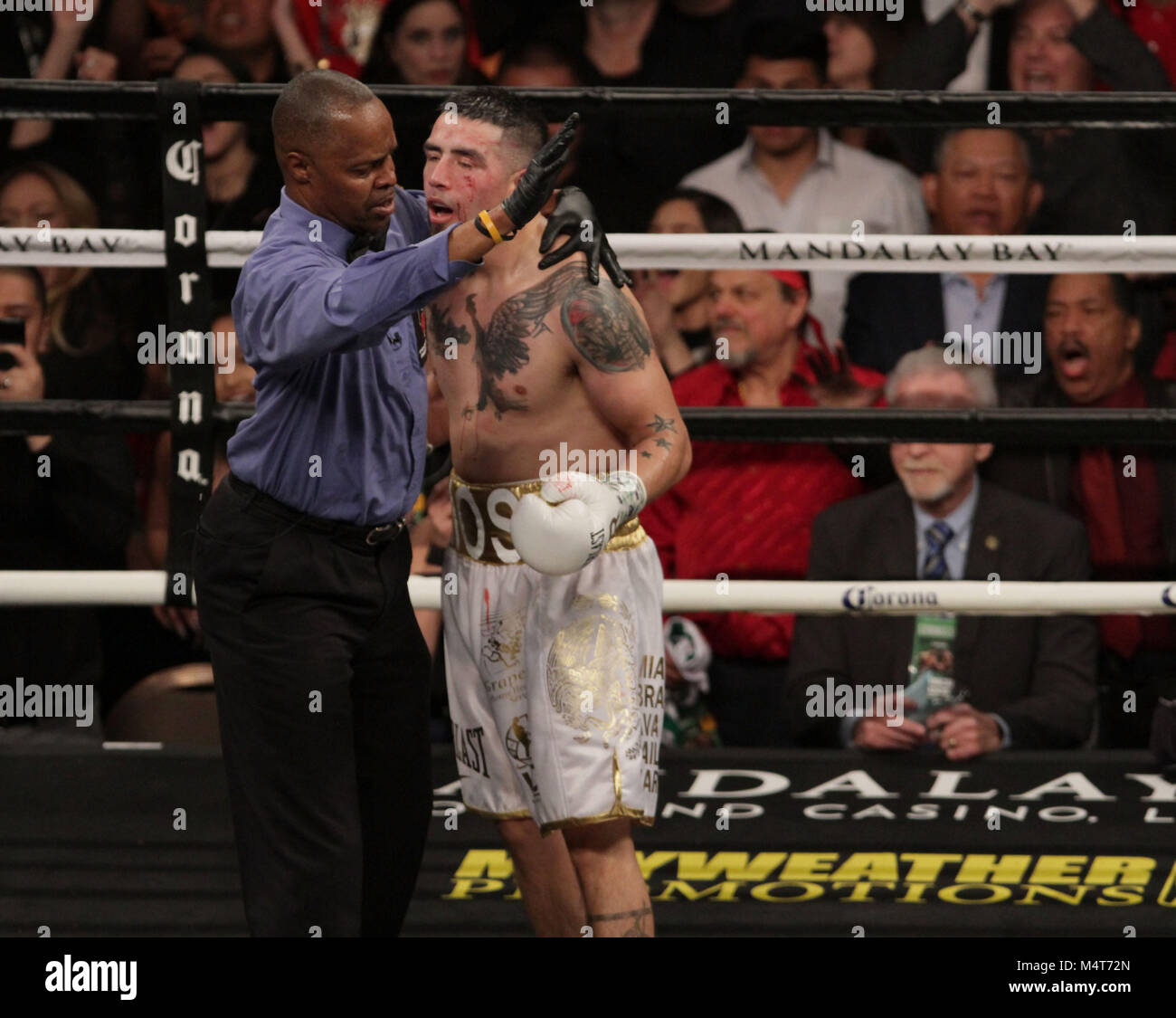 Las Vegas, Nevada, USA. 17th Feb, 2018. Welterweight boxer Danny ...