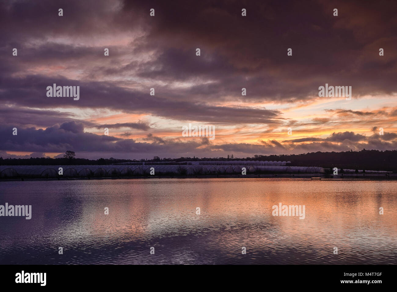Tuesley Farm, Godalming. 18th February 2018. A dramatic start to the ...