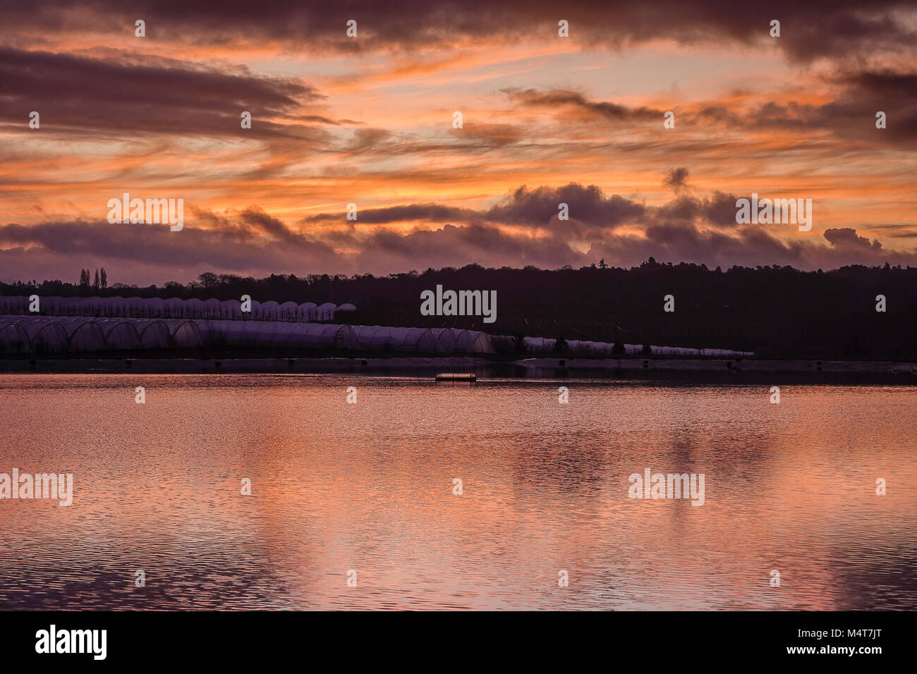 Tuesley farm hi-res stock photography and images - Alamy