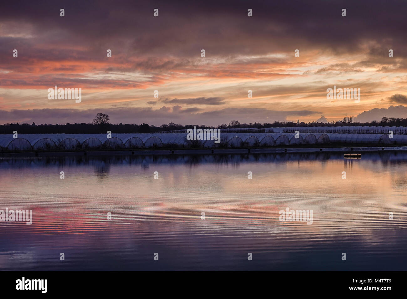 Tuesley farm hi-res stock photography and images - Alamy