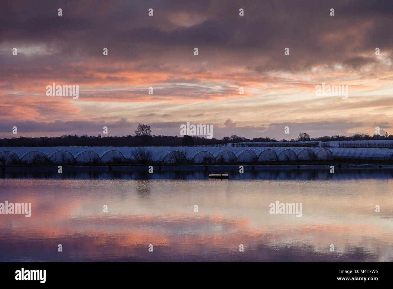 Tuesley farm hi-res stock photography and images - Alamy