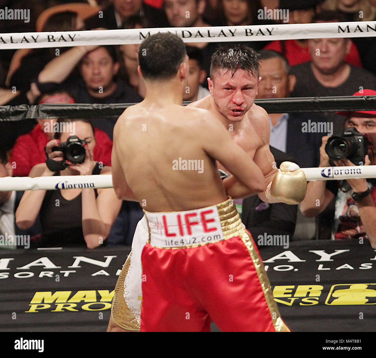 Las Vegas, Nevada, USA. 18th Feb, 2018. WBC Super Middleweight Champion ...
