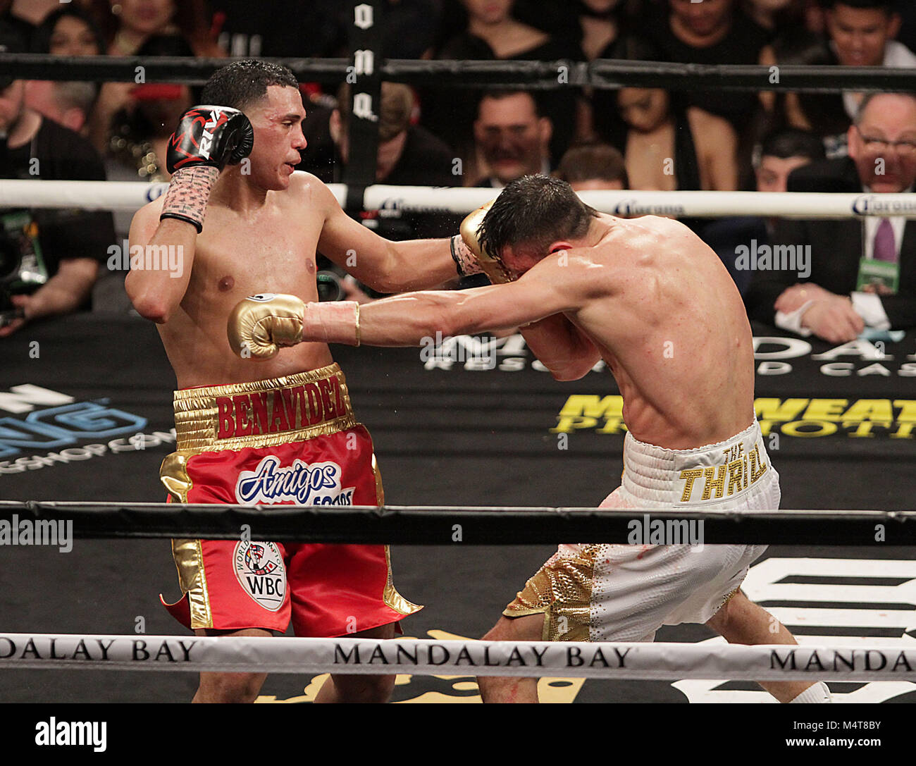 Las Vegas, Nevada, USA. 18th Feb, 2018. WBC Super Middleweight Champion ...