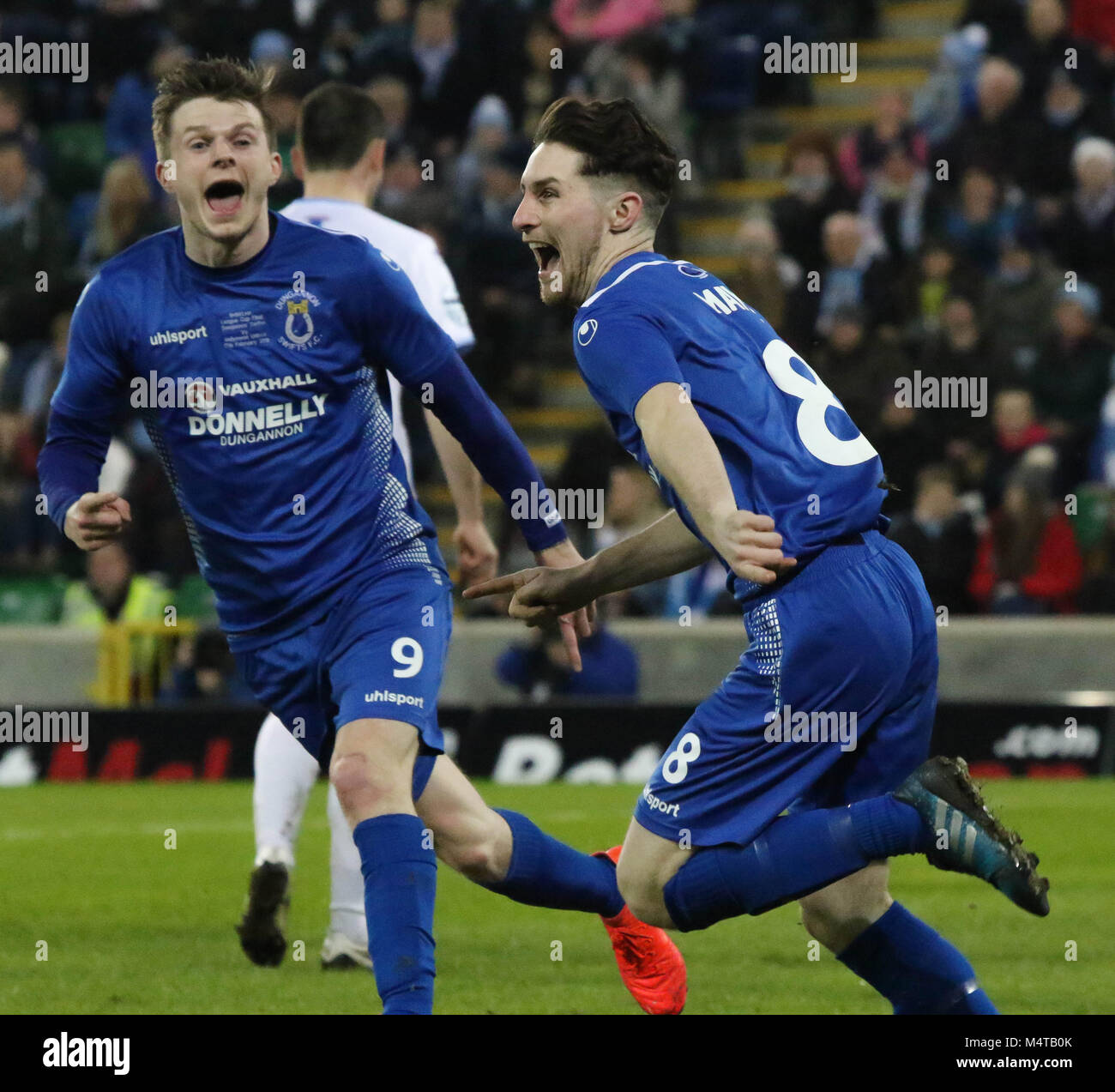 Windsor Park, Belfast Northern Ireland. 17 Feburary 2018.BetMcLean ...