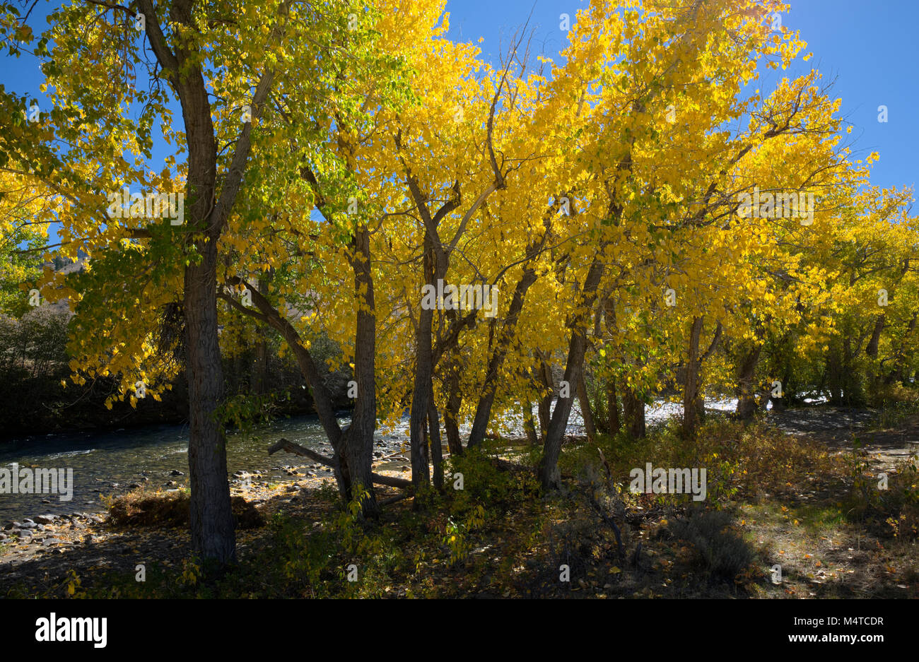 Lost river hi-res stock photography and images - Alamy