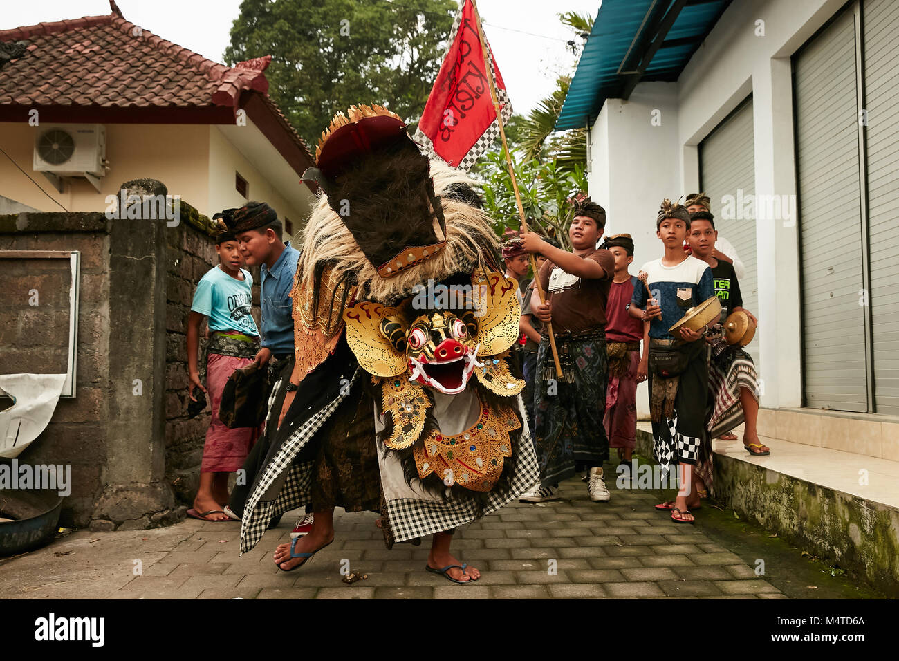 Local indonesian boys performing traditional lion dance with musical ...
