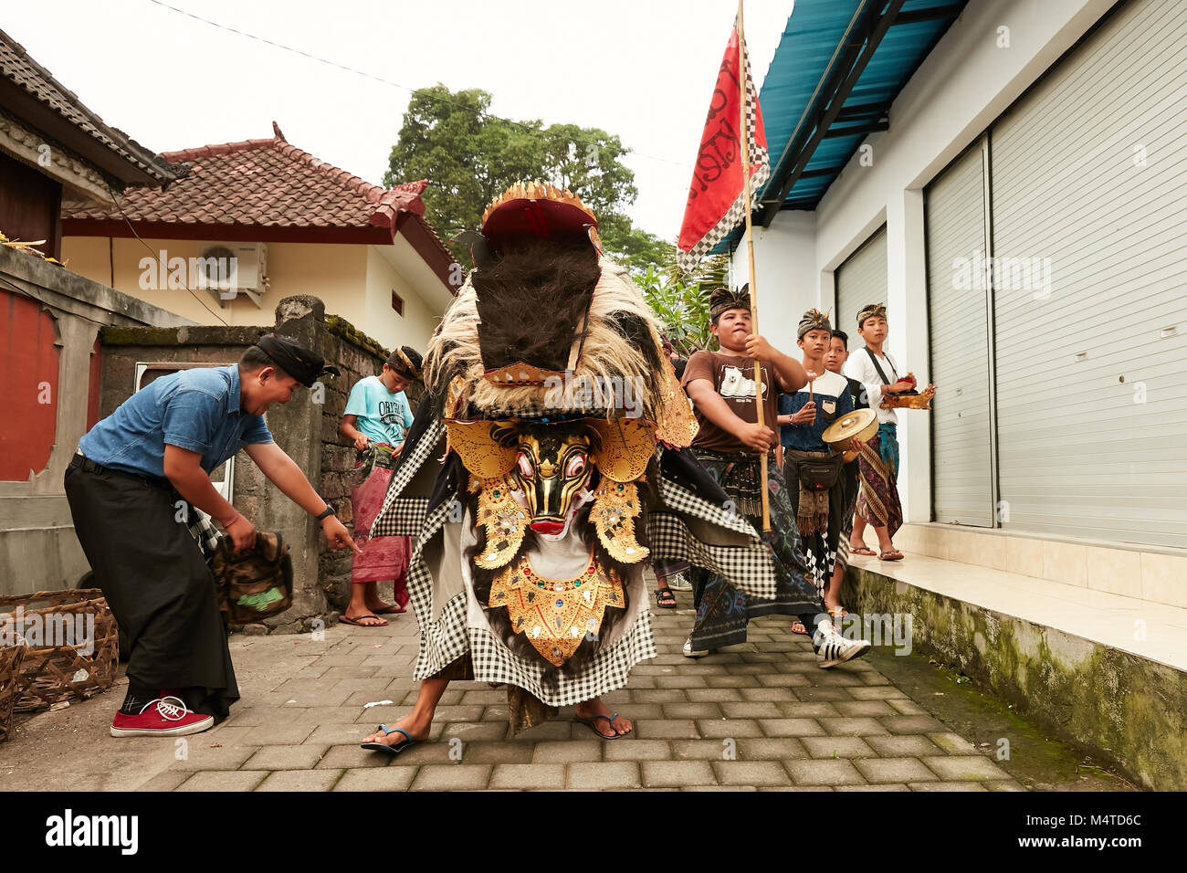 Local indonesian boys performing traditional lion dance with musical ...