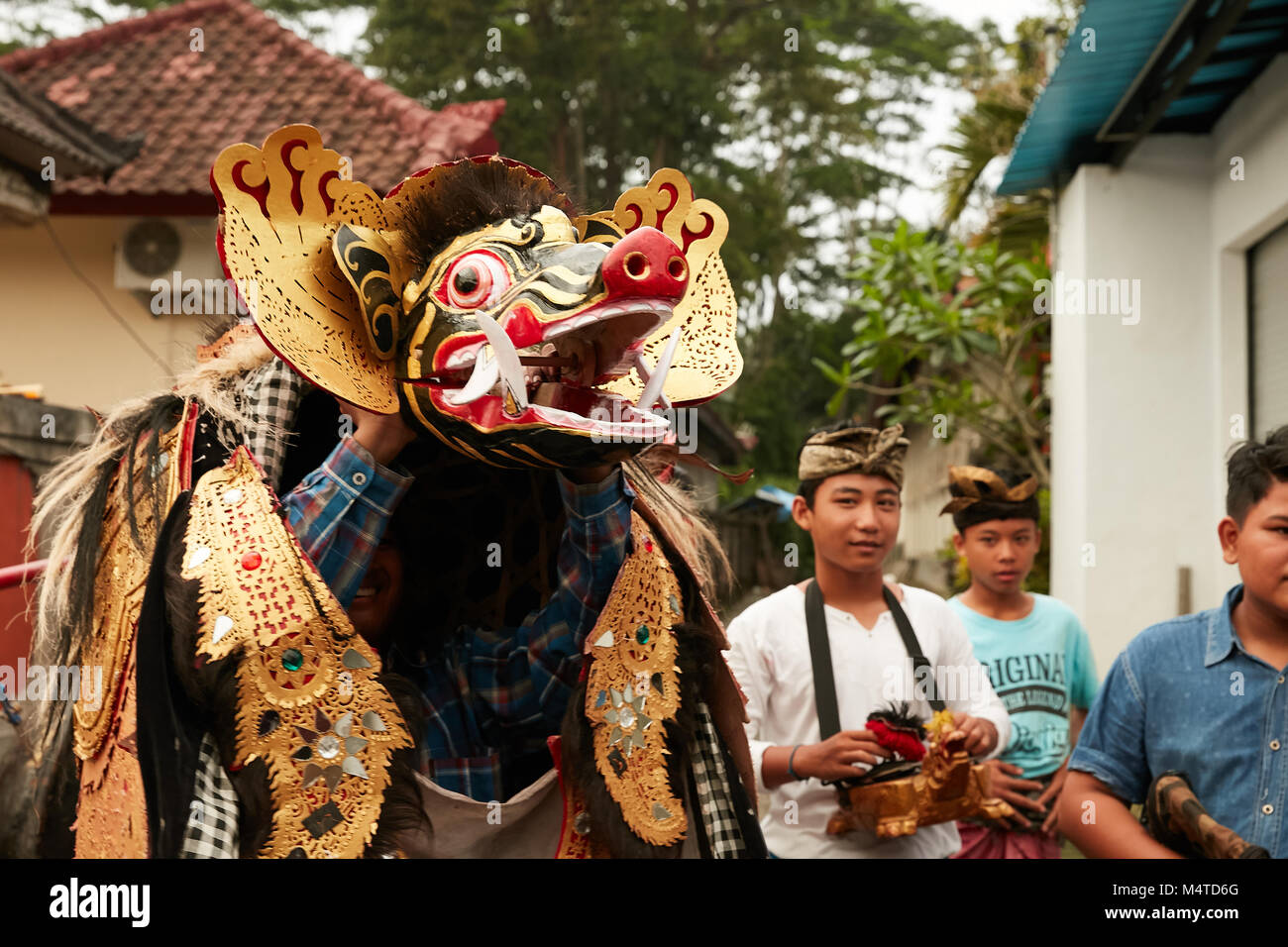 Local indonesian boys performing traditional lion dance with musical ...