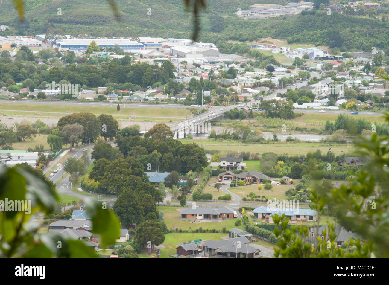 Totara hi-res stock photography and images - Alamy