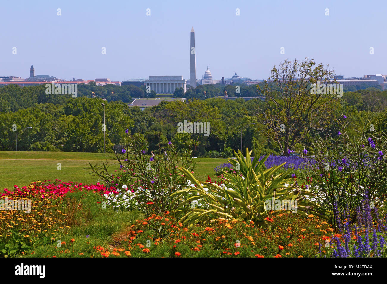 Washington DC panorama in spring with blooming flowers and capital city ...