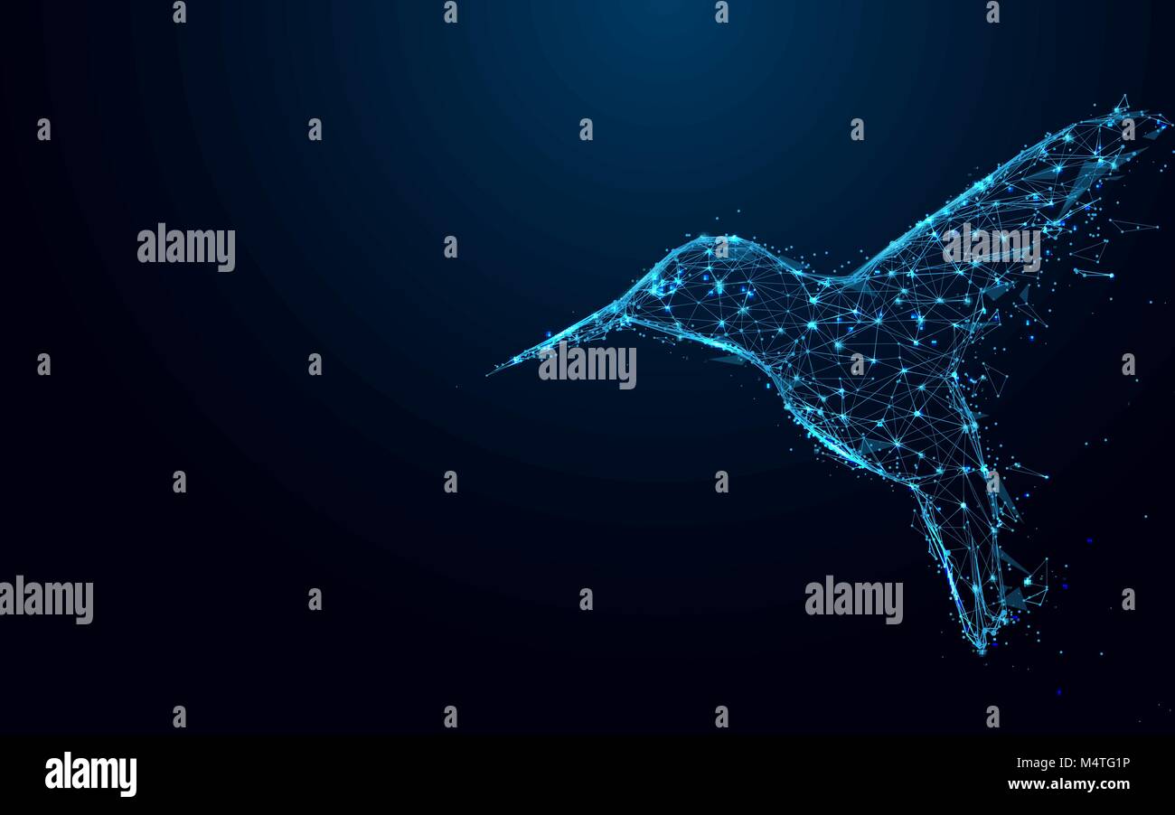 Humming bird geometric illustration hi-res stock photography and images ...