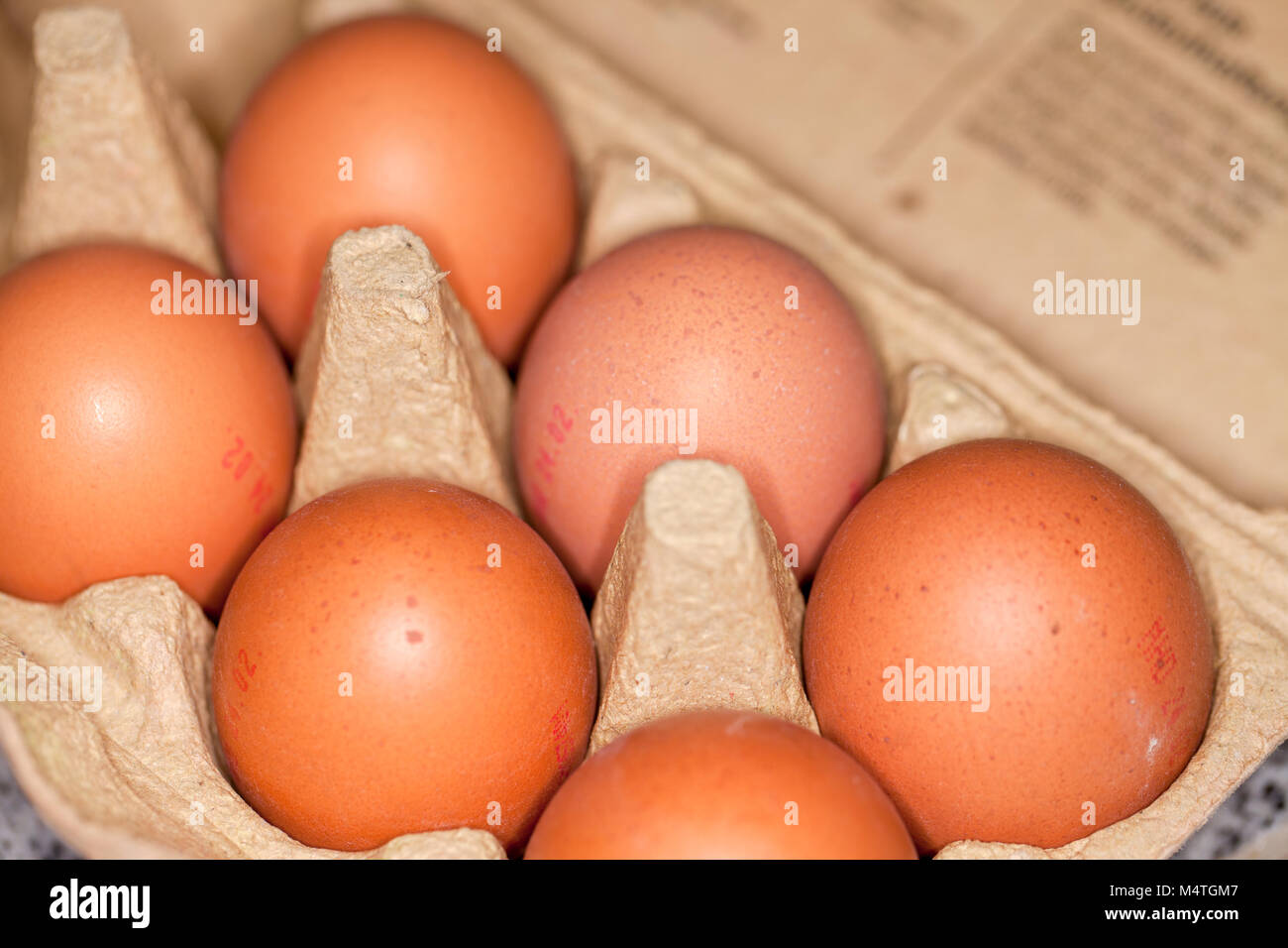 german eggs lies in a egg carton Stock Photo - Alamy