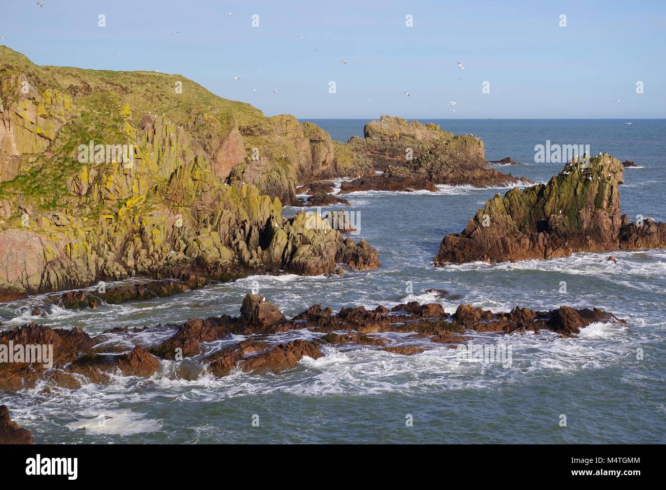 Seacliffs High Resolution Stock Photography and Images - Alamy