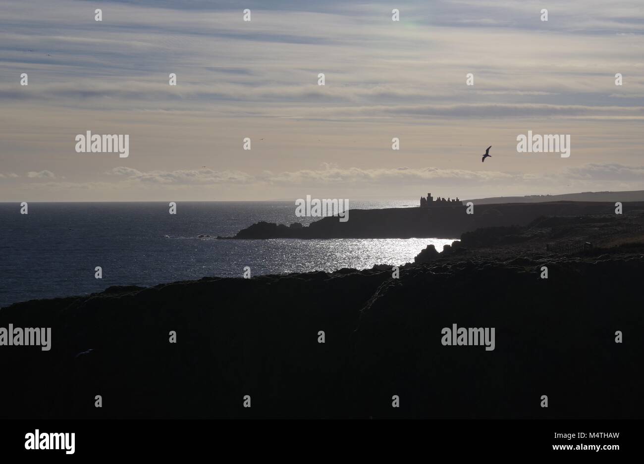 New Slains Castle Ruin Silhouetted atop the Rugged Granite Cliffs ...