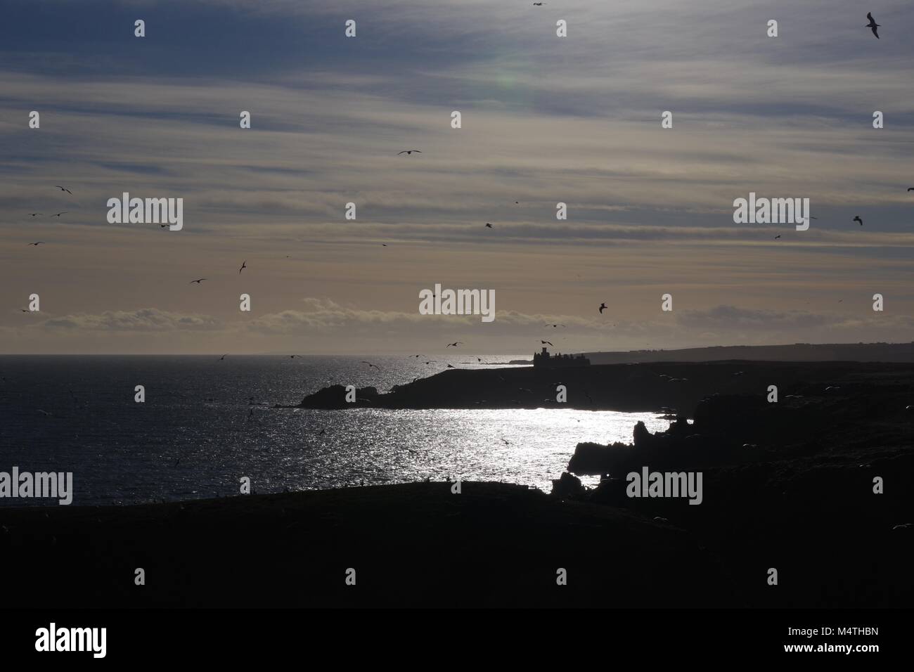 New Slains Castle Ruin Silhouetted atop the Rugged Granite Cliffs ...