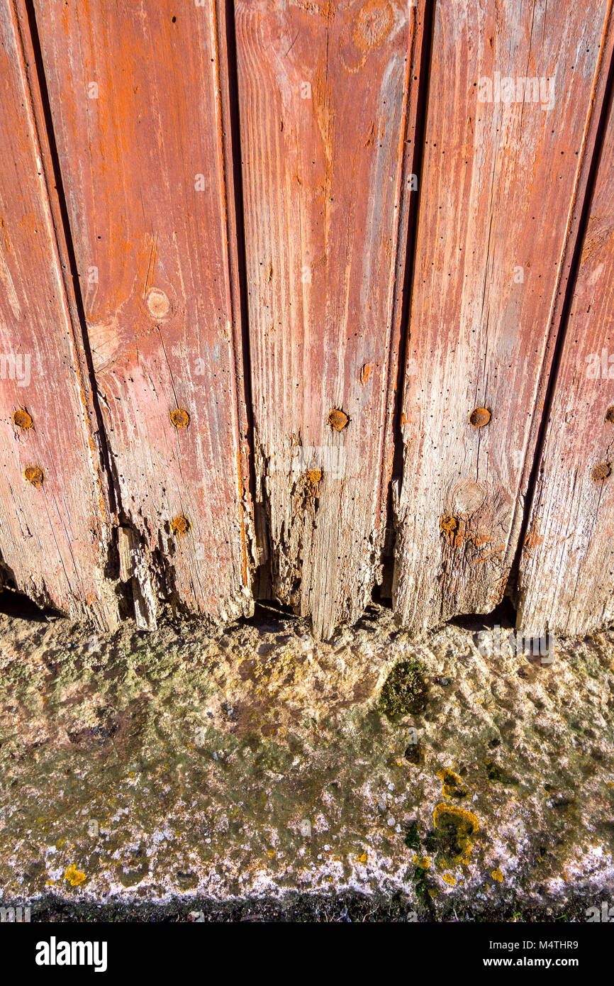 Foot Rot High Resolution Stock Photography and Images - Alamy