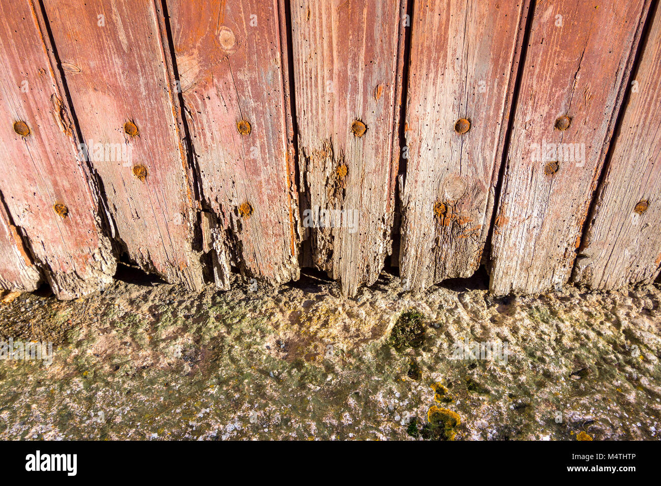 Rotten boards at foot of door Stock Photo - Alamy