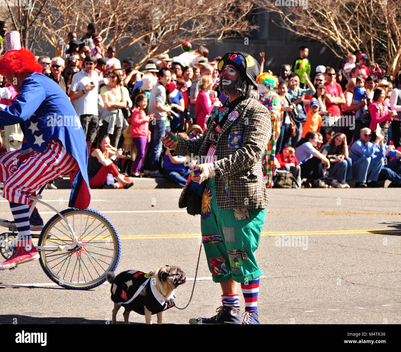 Dog Clown High Resolution Stock Photography and Images - Alamy