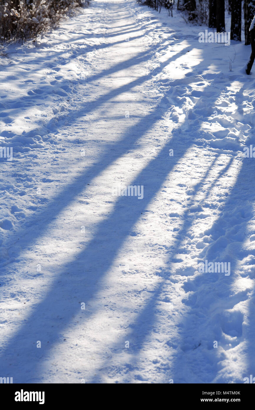 Winter country landscape. Path across forest with shadow light Stock ...