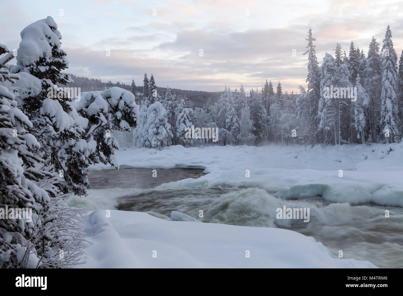 Cold winter morning. Rapids this side snowy and covered trees. Daybreak ...
