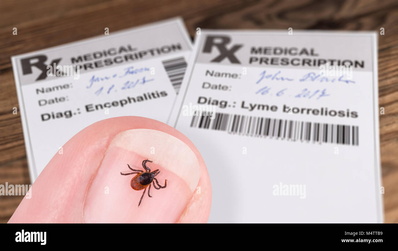 Castor bean tick and medical prescription with bar code. Ixodes ricinus ...