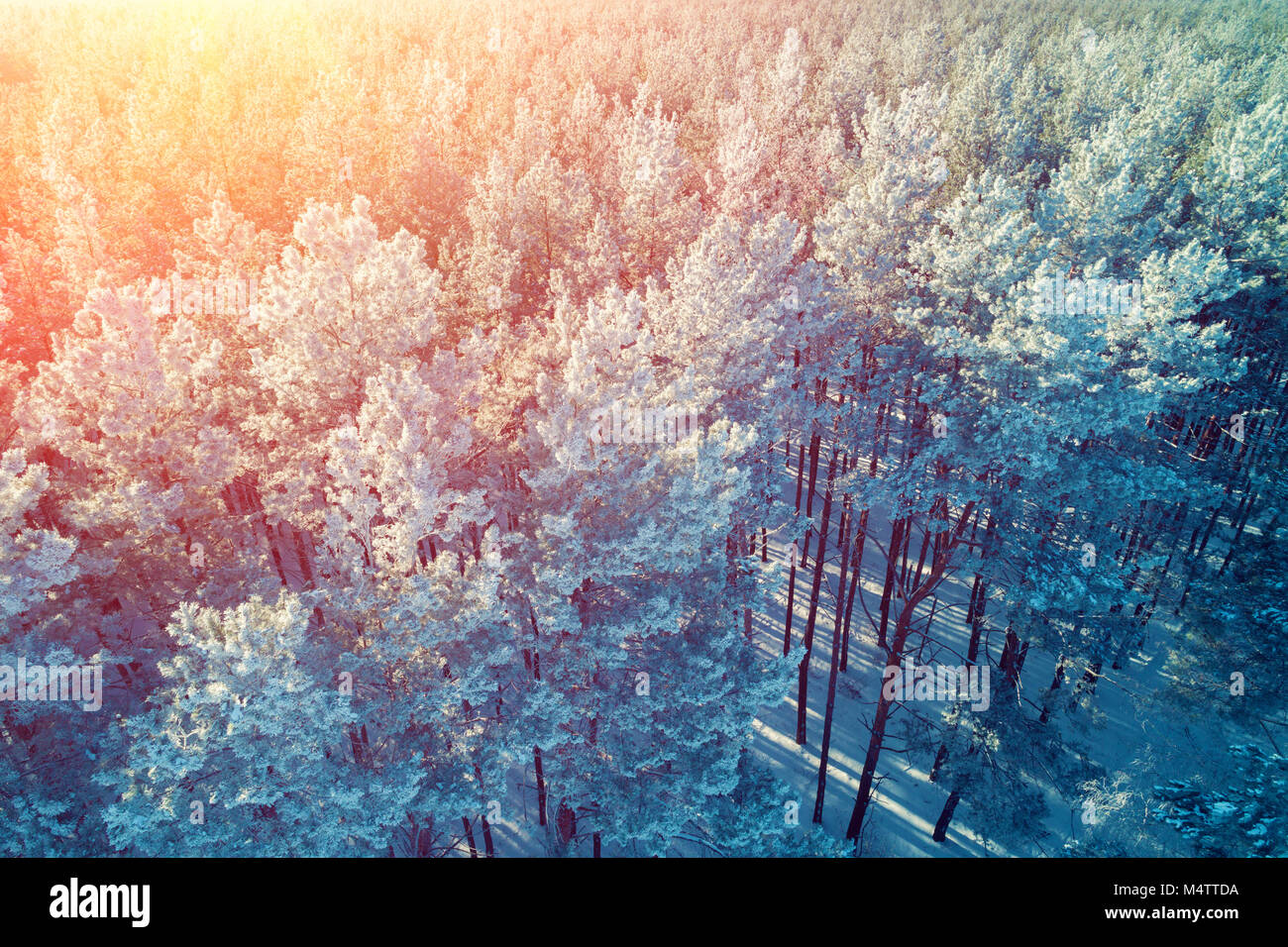 Aerial view of a forest landscape with rime hi-res stock photography ...