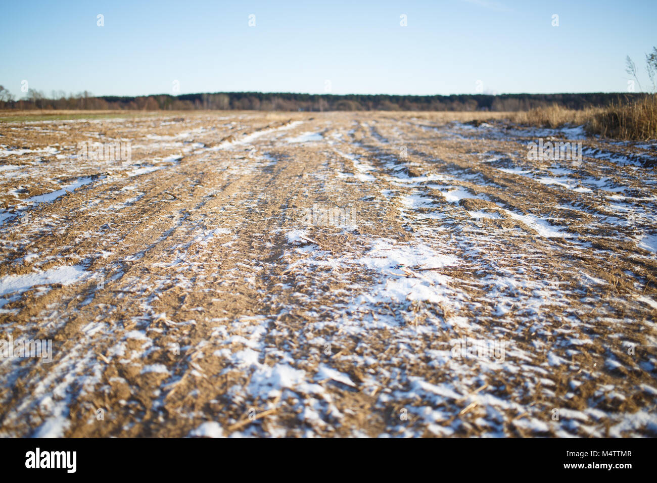 Photo of road with snow on background of forest and blue sky Stock ...