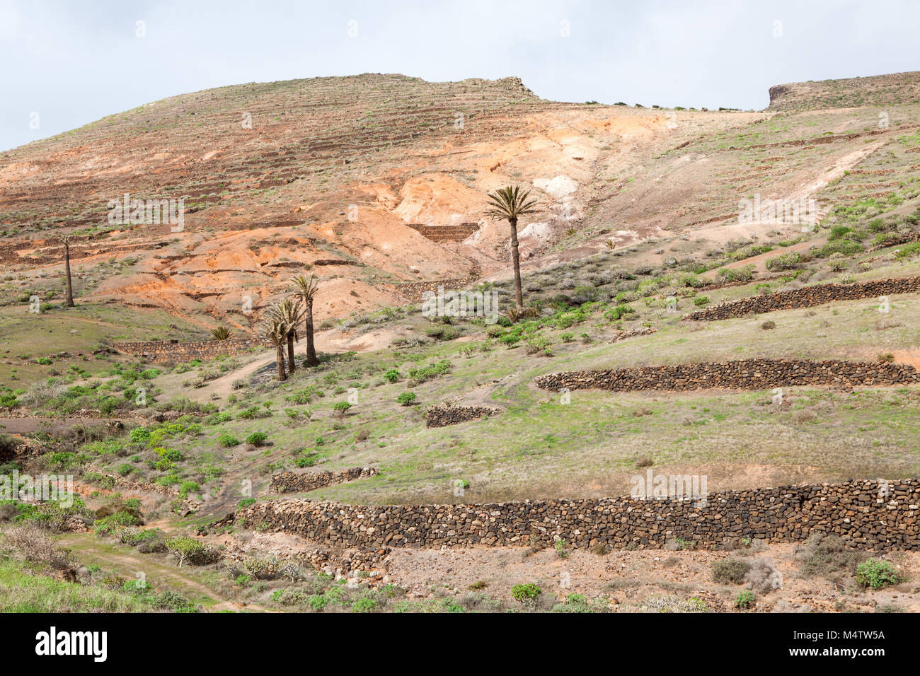 Flank wall hi-res stock photography and images - Alamy