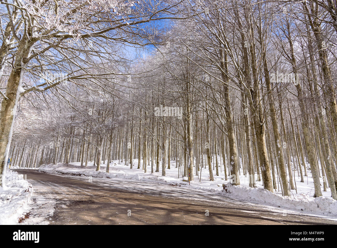winter landscape with snow, mount Amiata, tuscany, Italy Stock Photo ...