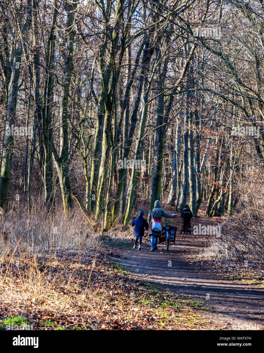 Berlin, Volkspark Schönholzer Heide, Public park with people walking ...