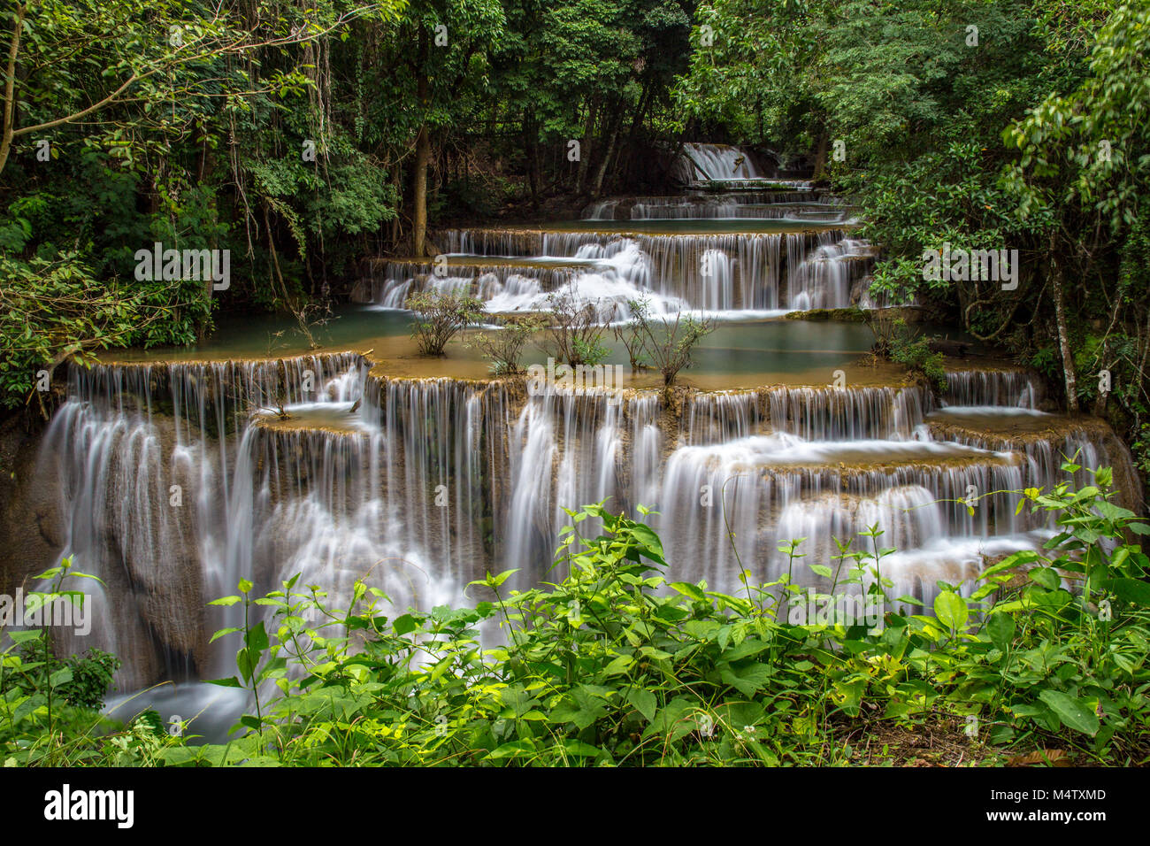 huge waterfall at the forest with green plant foreground Stock Photo ...