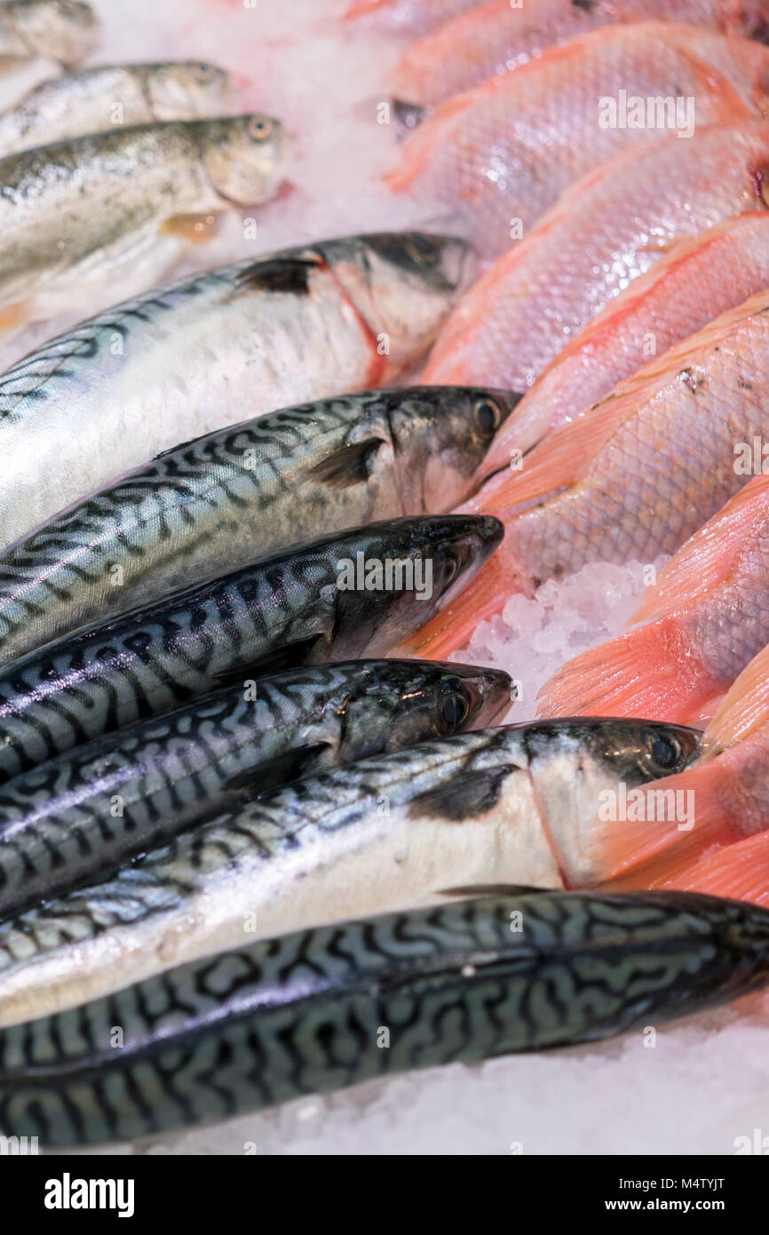 Fresh sea fish on ice in supermarket. Healthy and healthy food Stock ...