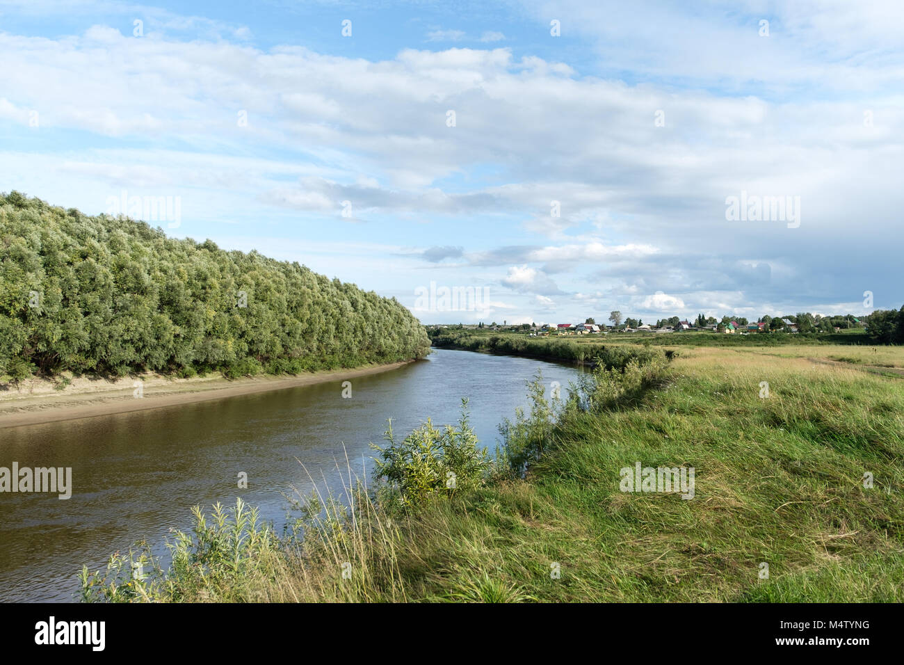 View of the river bank, wood and sky Stock Photo - Alamy