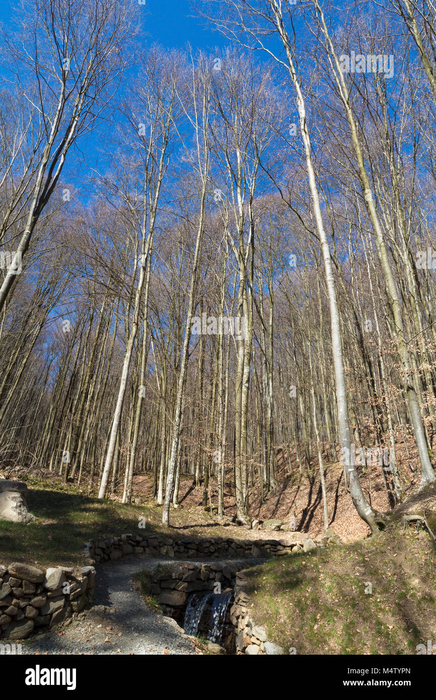 Man-made channel for the flow of a mountain river that is located in ...