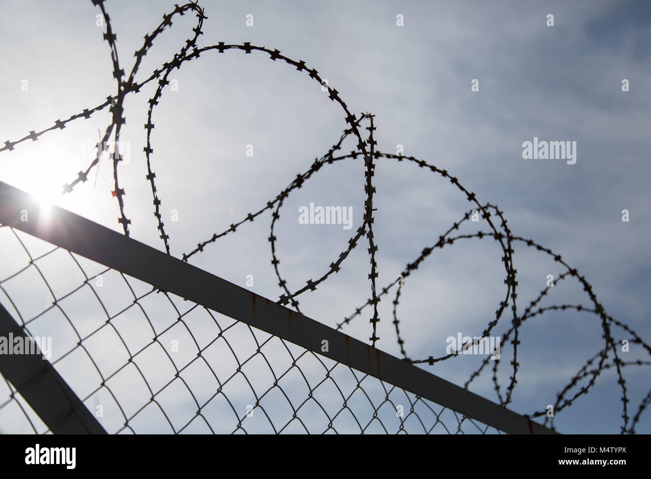 Protection with a barbed wire and the sun Stock Photo - Alamy