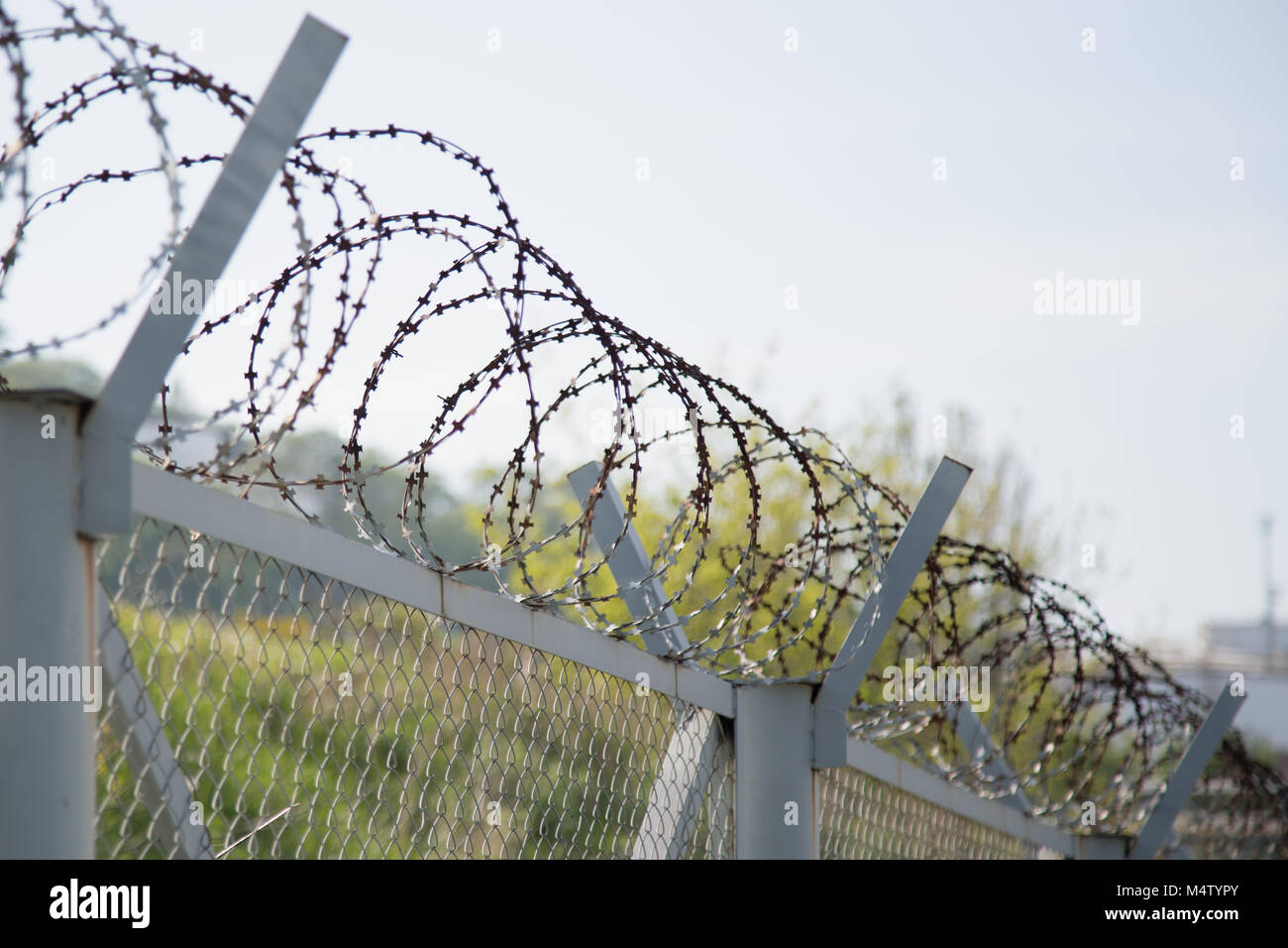 Protection with a barbed wire on it Stock Photo - Alamy