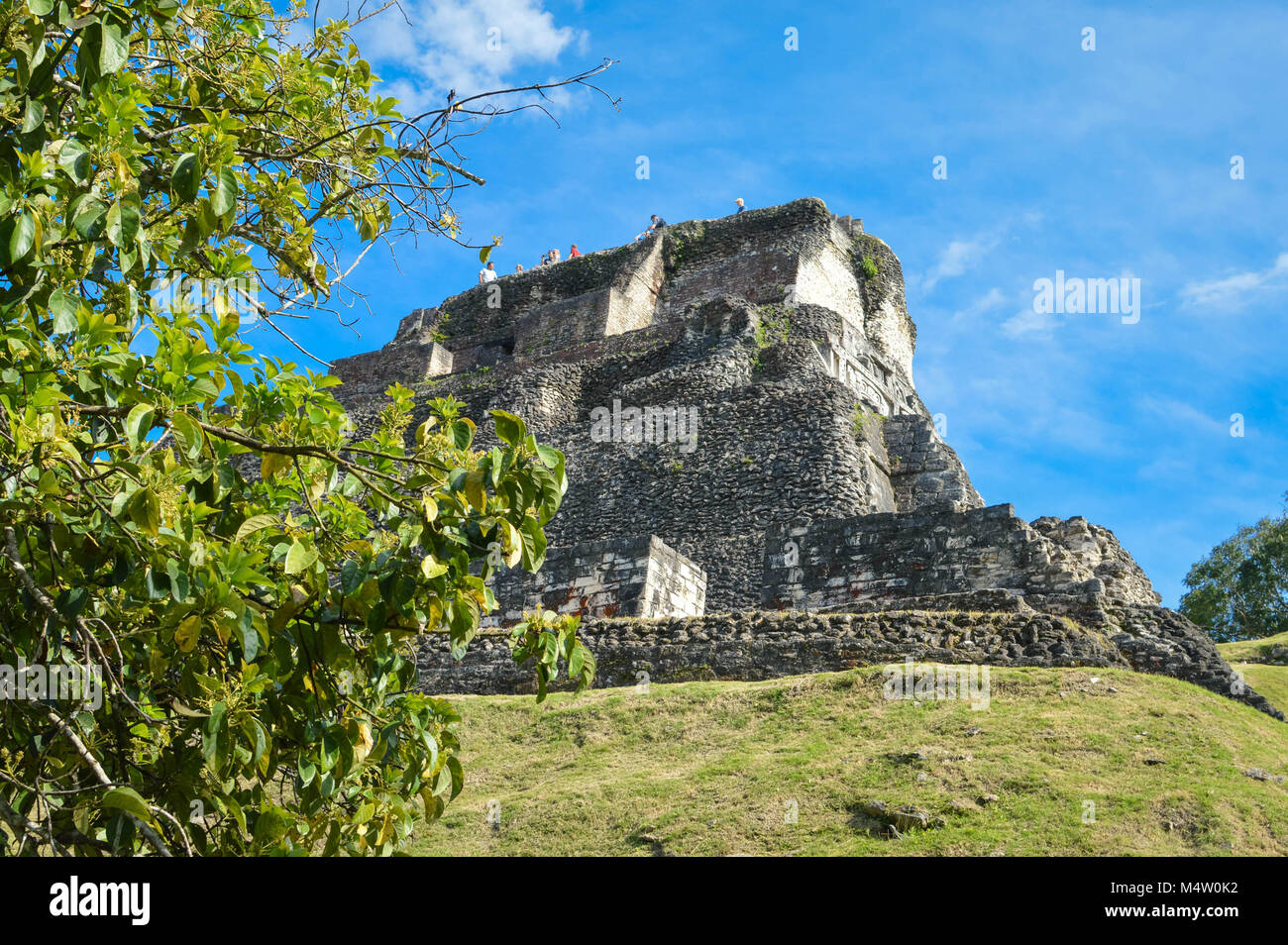The main pyramid El Castillo at Xunantunich archaeological site of ...
