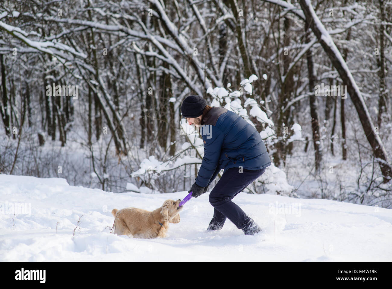 Man play with cocker spaniel Stock Photo - Alamy