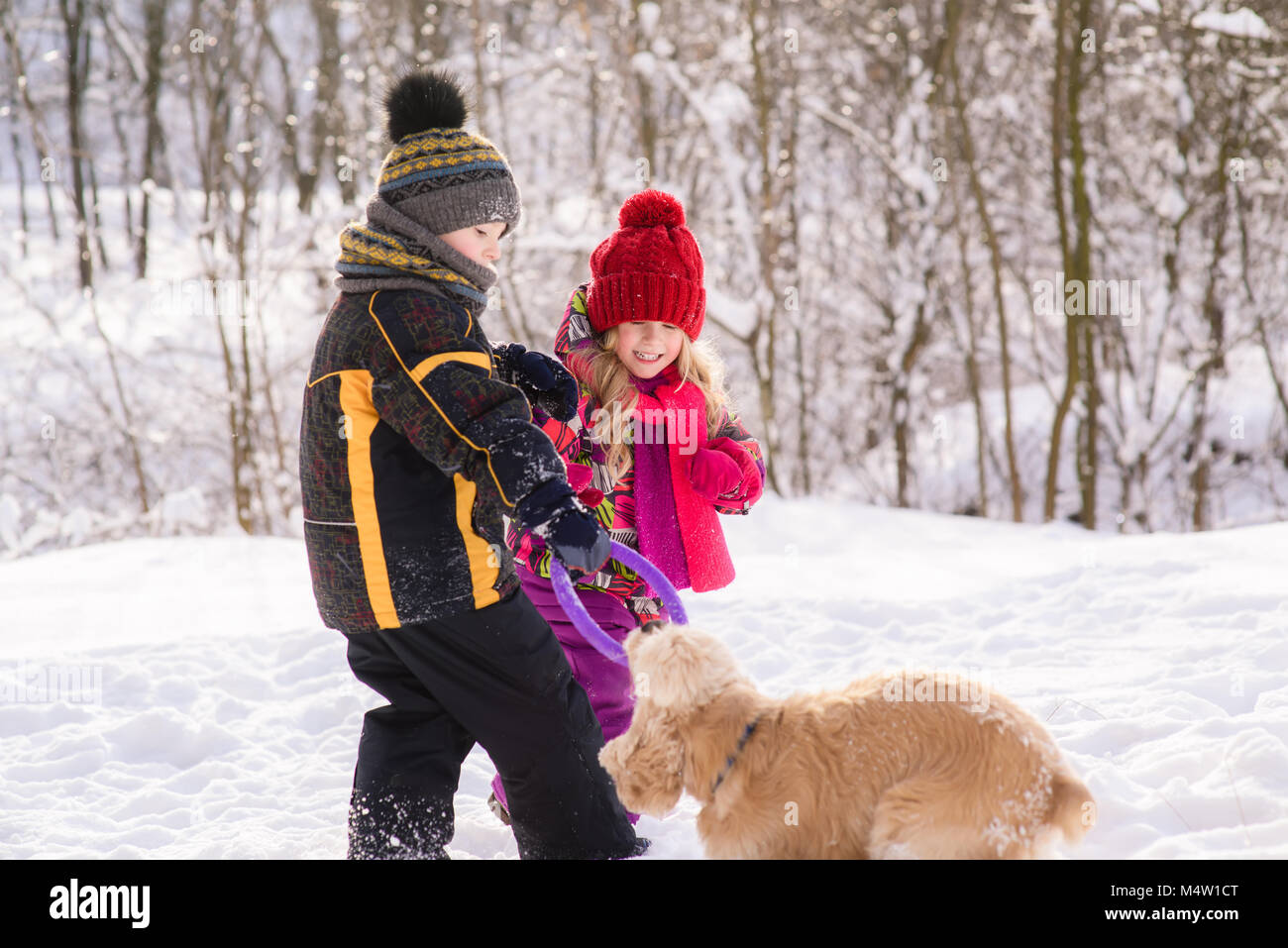 American cocker spaniel and kid hi-res stock photography and images - Alamy