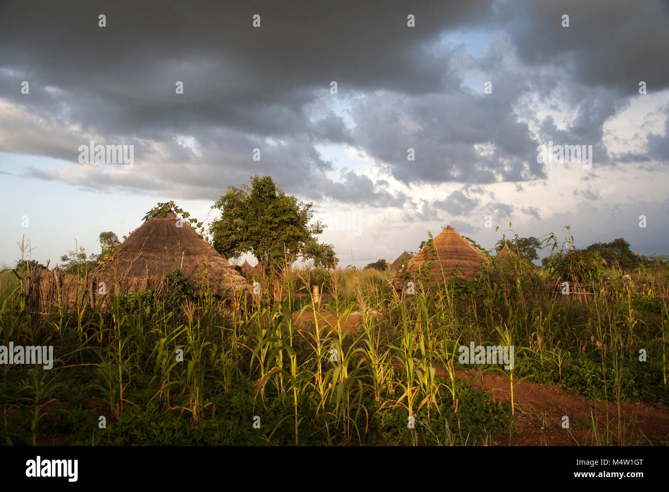 Typical african rural housing hi-res stock photography and images - Alamy