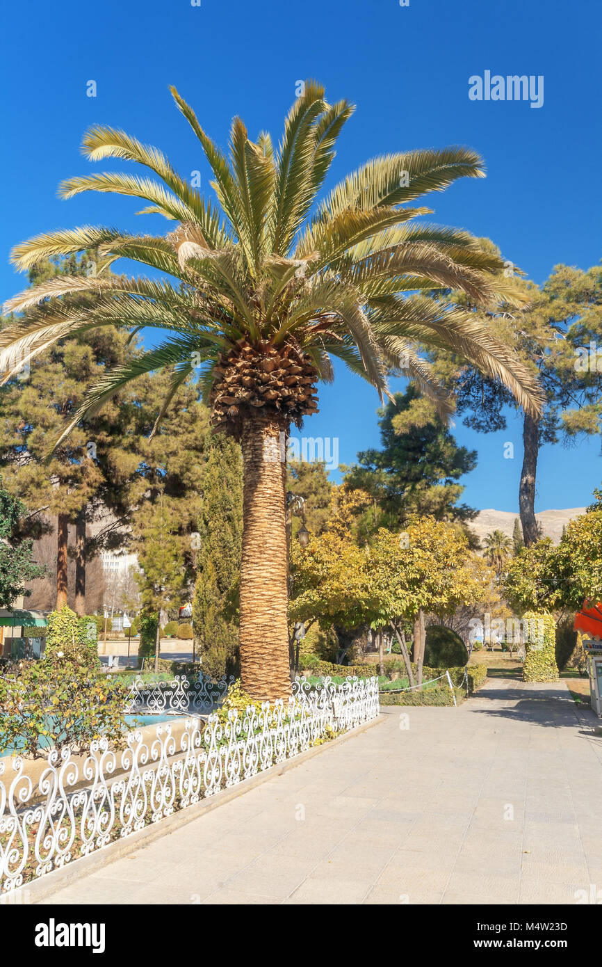 Eram garden, or Bagh-e Eram (Garden of Paradise) is a large garden with ...