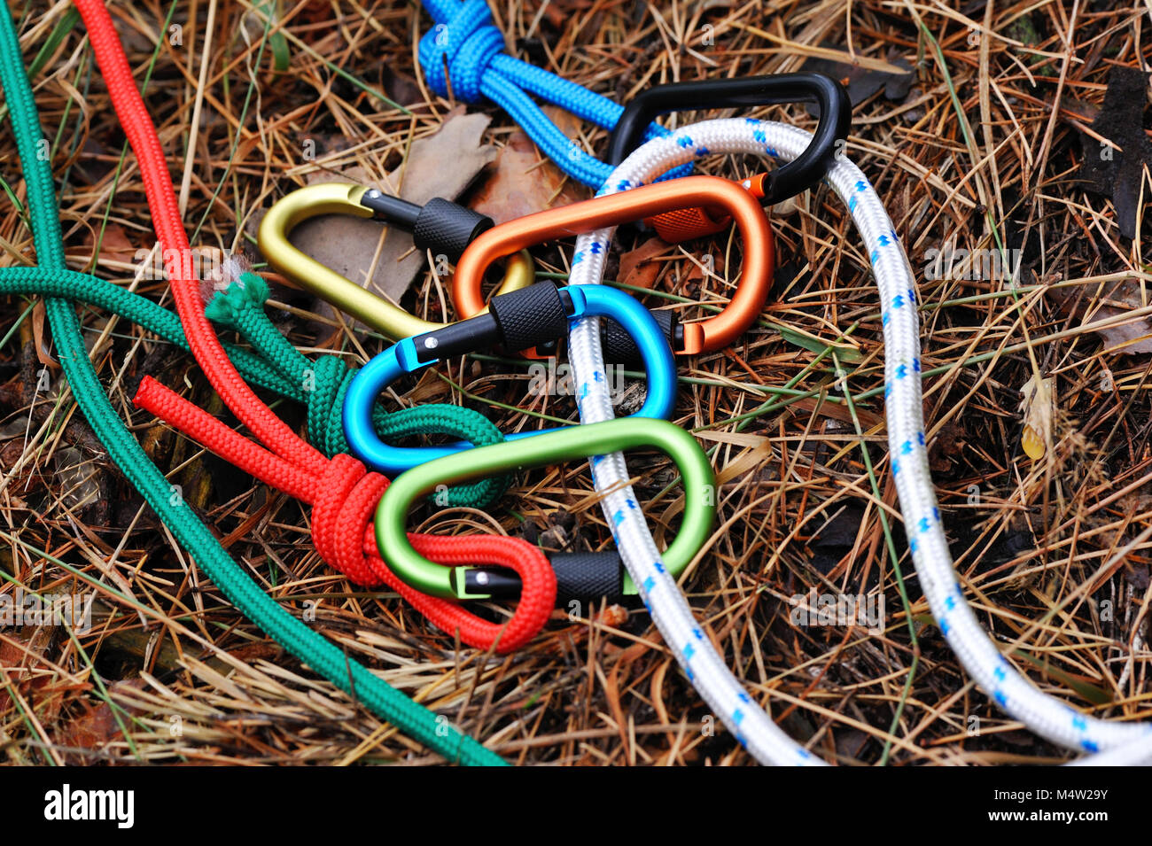 Carabiner with rope on nature background. Climbing uquipment.Climbing ...