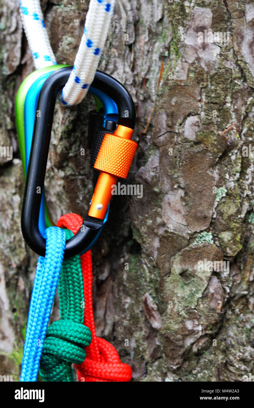 Carabiner with rope on nature background. Climbing uquipment.Climbing ...