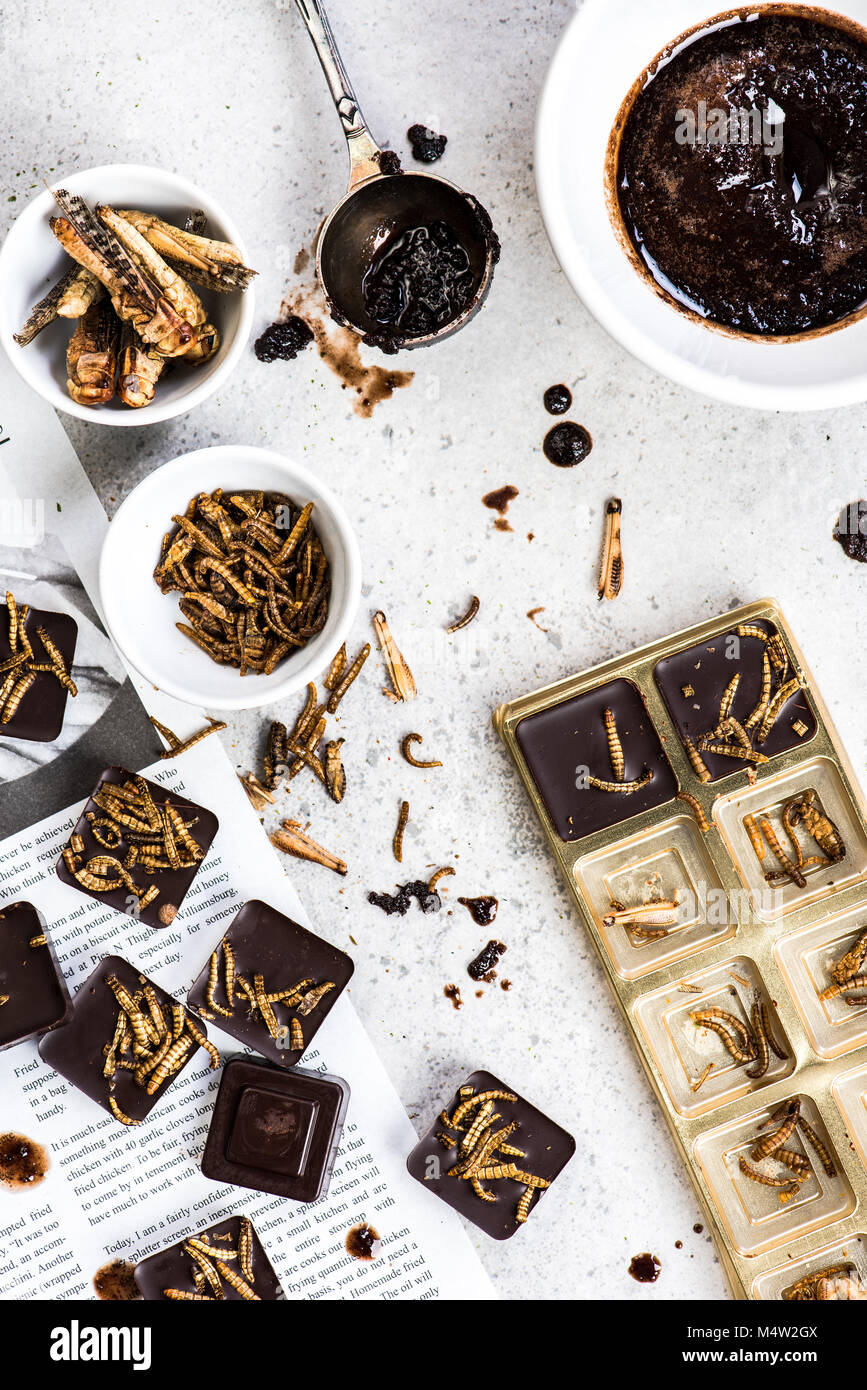 Making chocolate with edible insects. Culinary trends Stock Photo - Alamy
