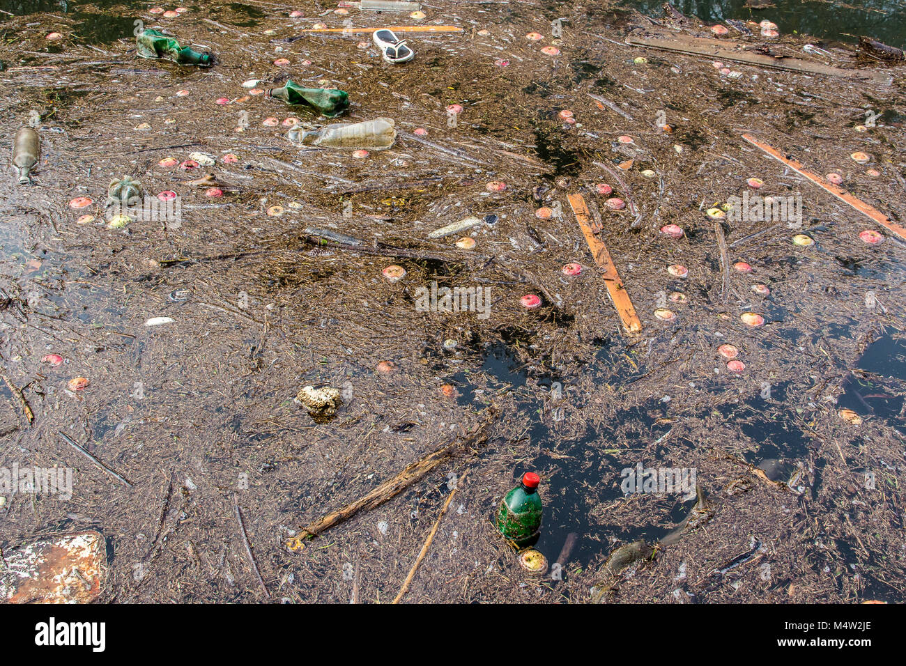 Water pollution in urban areas city plastic bottles Stock Photo - Alamy