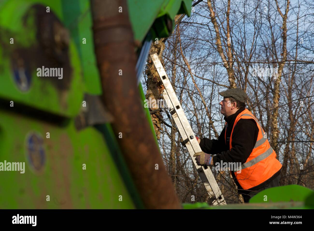 Tree nursery workers Stock Photo - Alamy